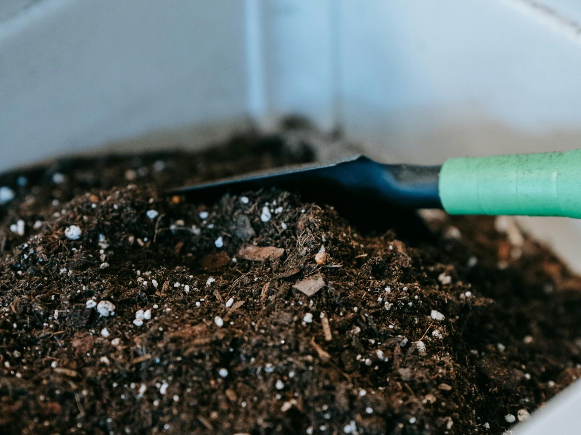 We Reviewed the 4 Most Popular Home Compost Machines – Here’s how they ...